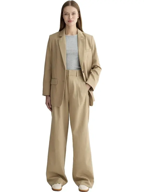 Everlane Draper Pleated Wide Leg Pants - Ash Brown | 32" Inseam
